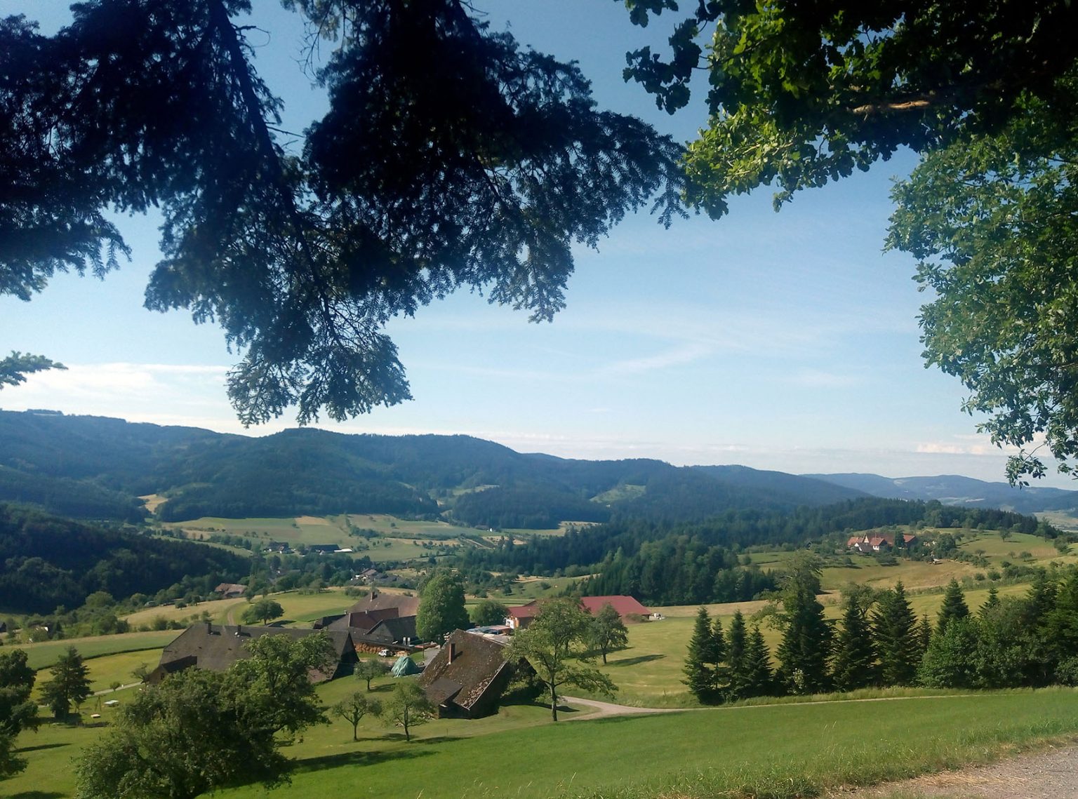Kurztrip Schwarzwald - Wandern und Genuss